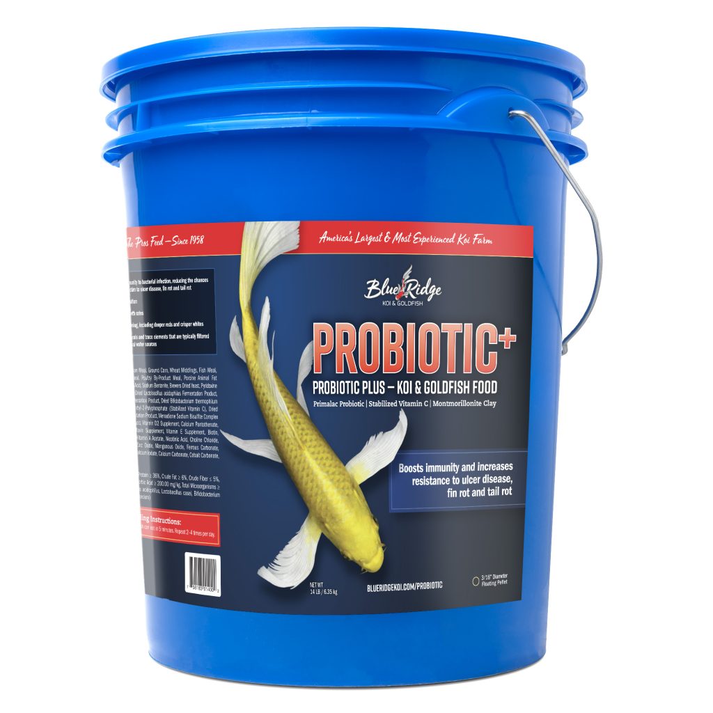 Probiotic Plus | Blue Ridge Koi & Goldfish
