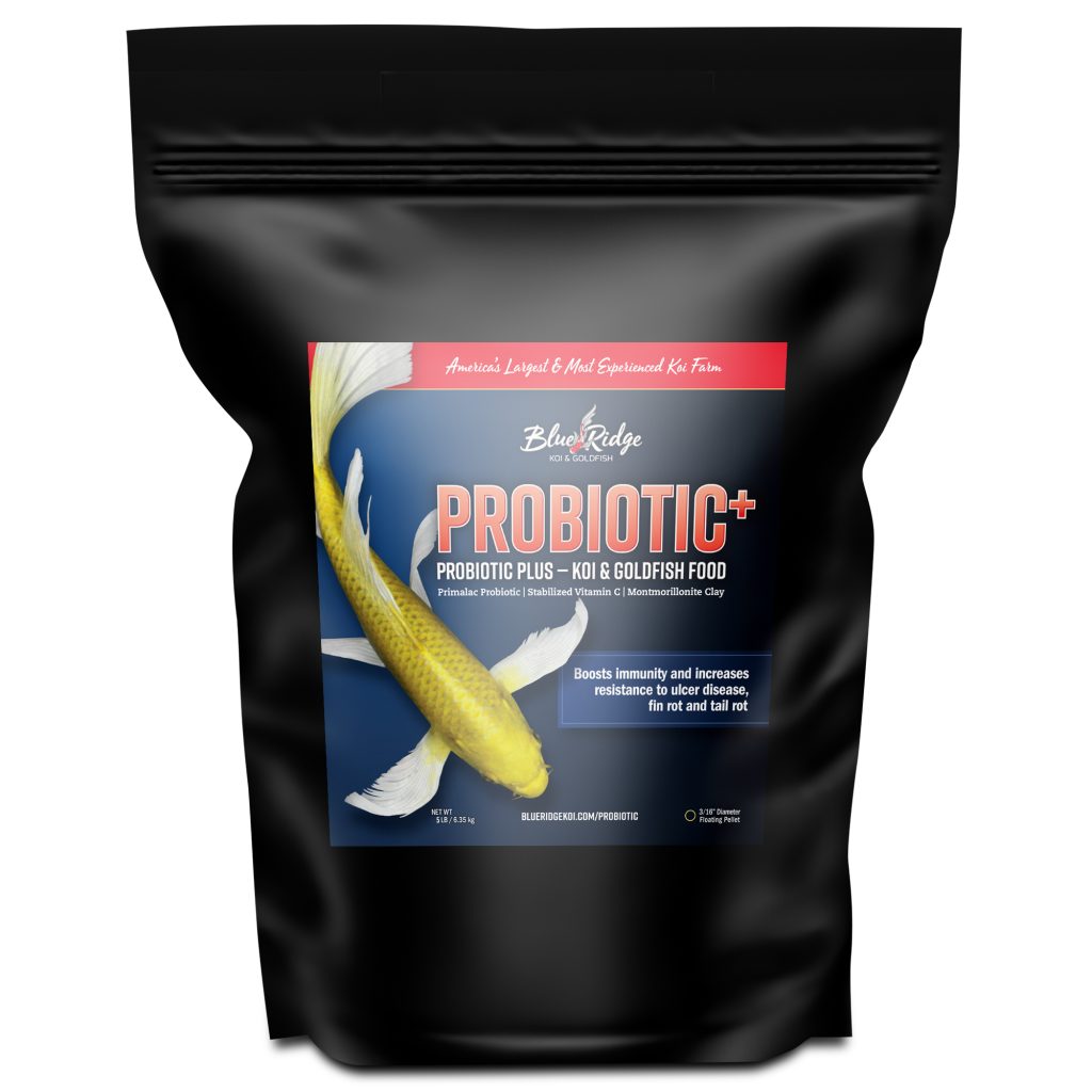 Probiotic Plus | Blue Ridge Koi & Goldfish