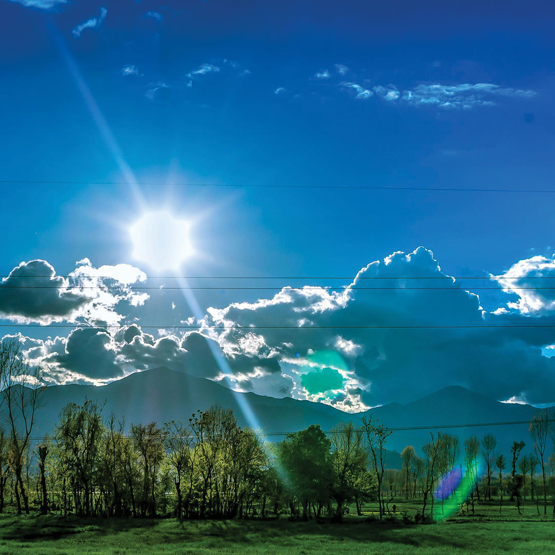 Summertime Pond Care | Blue Ridge Koi & Goldfish